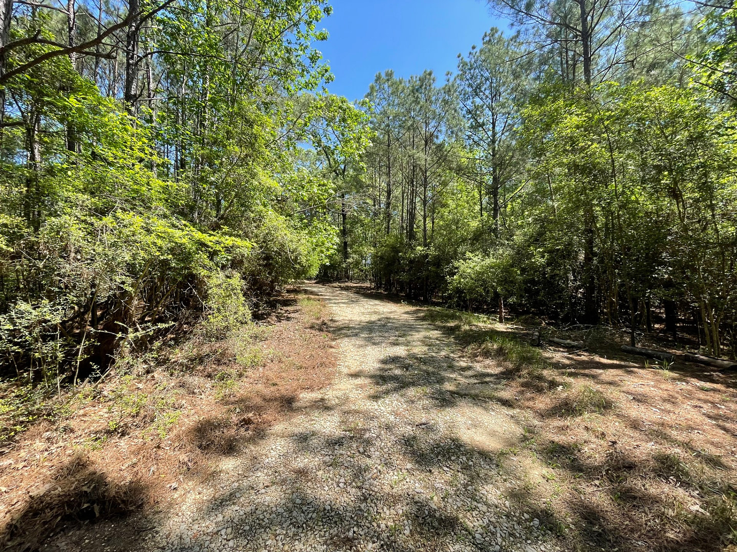 5.7 Acres Unrestricted Totally Hidden with Turn-Key RV Pad & Overhang ...