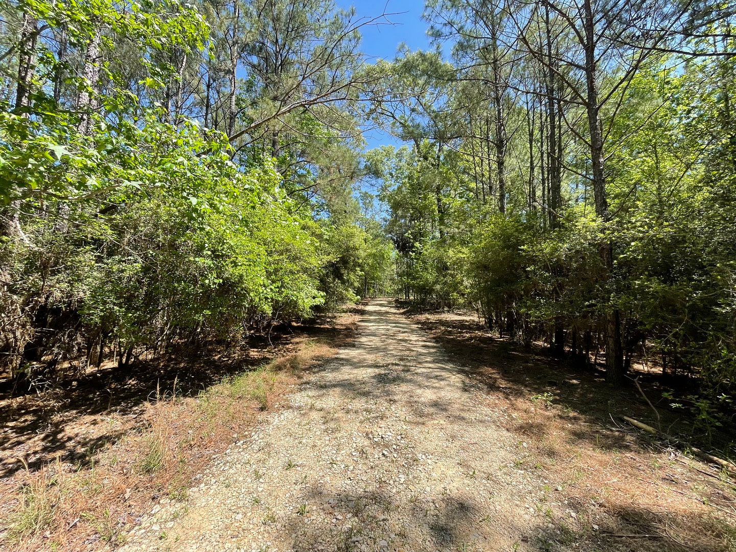 5.7 Acres Unrestricted Totally Hidden with Turn-Key RV Pad & Overhang ...