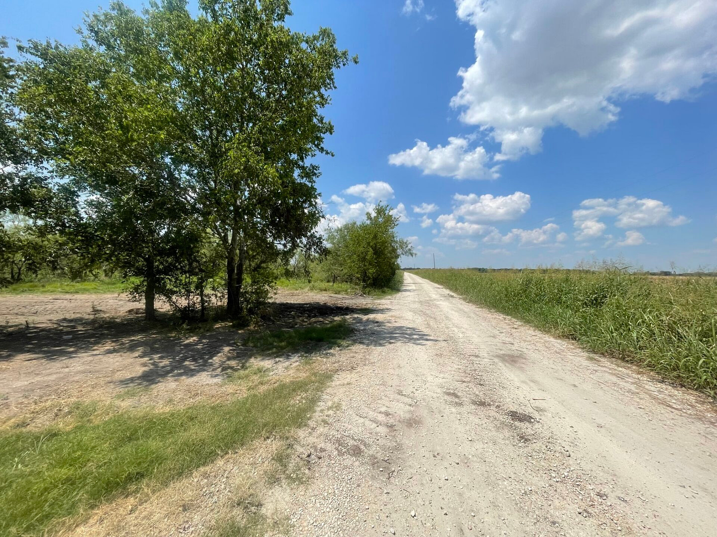 4.25 Acres Ranch Land in Limestone TX for Sale - Perc Tested